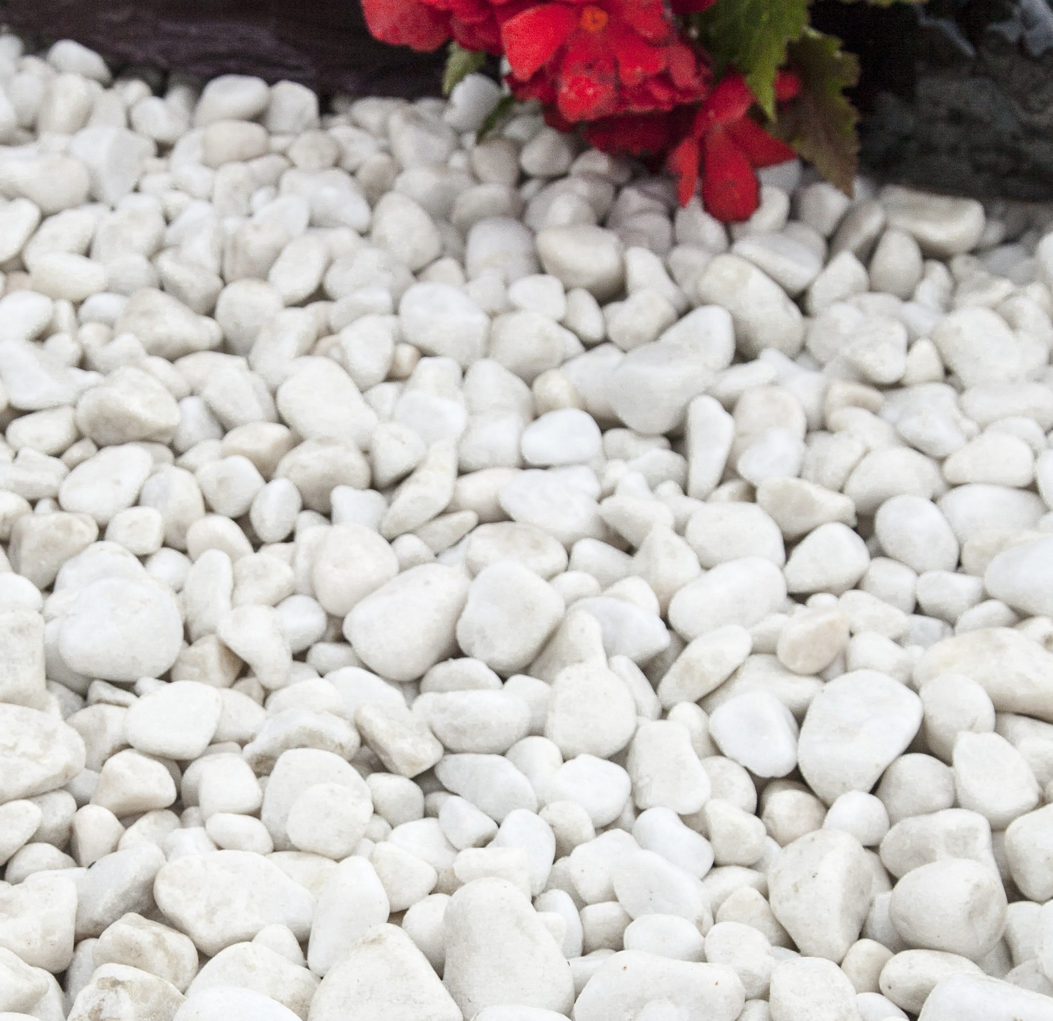 Polar White Pebbles | Derbyshire Specialist Aggregates